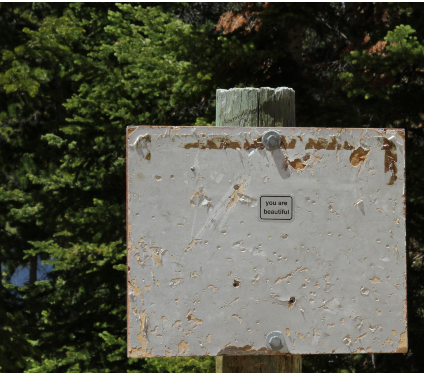 Haystack Lake in the Uintas | Marigold Moose