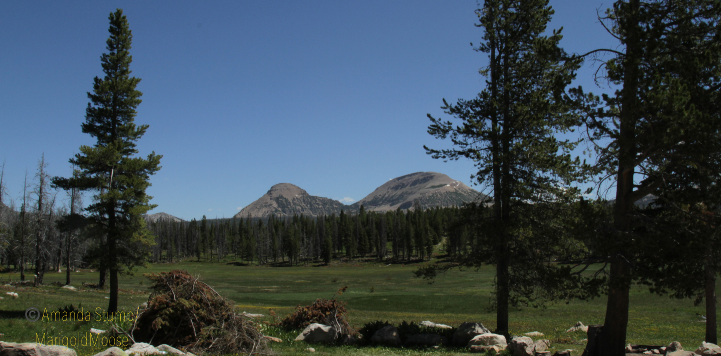 Haystack Lake in the Uintas | Marigold Moose