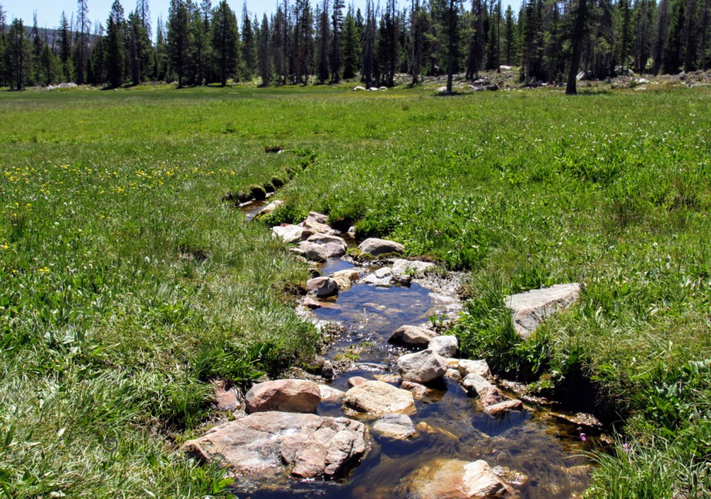 Haystack Lake in the Uintas | Marigold Moose