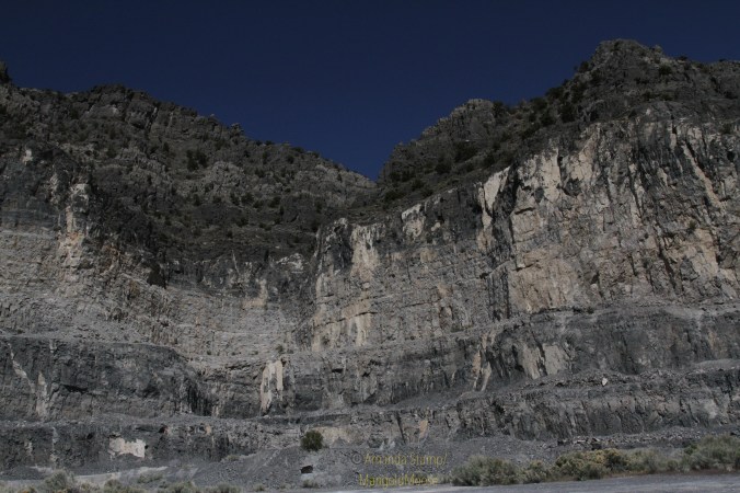 An interesting find in the Utah west desert | Marigold Moose